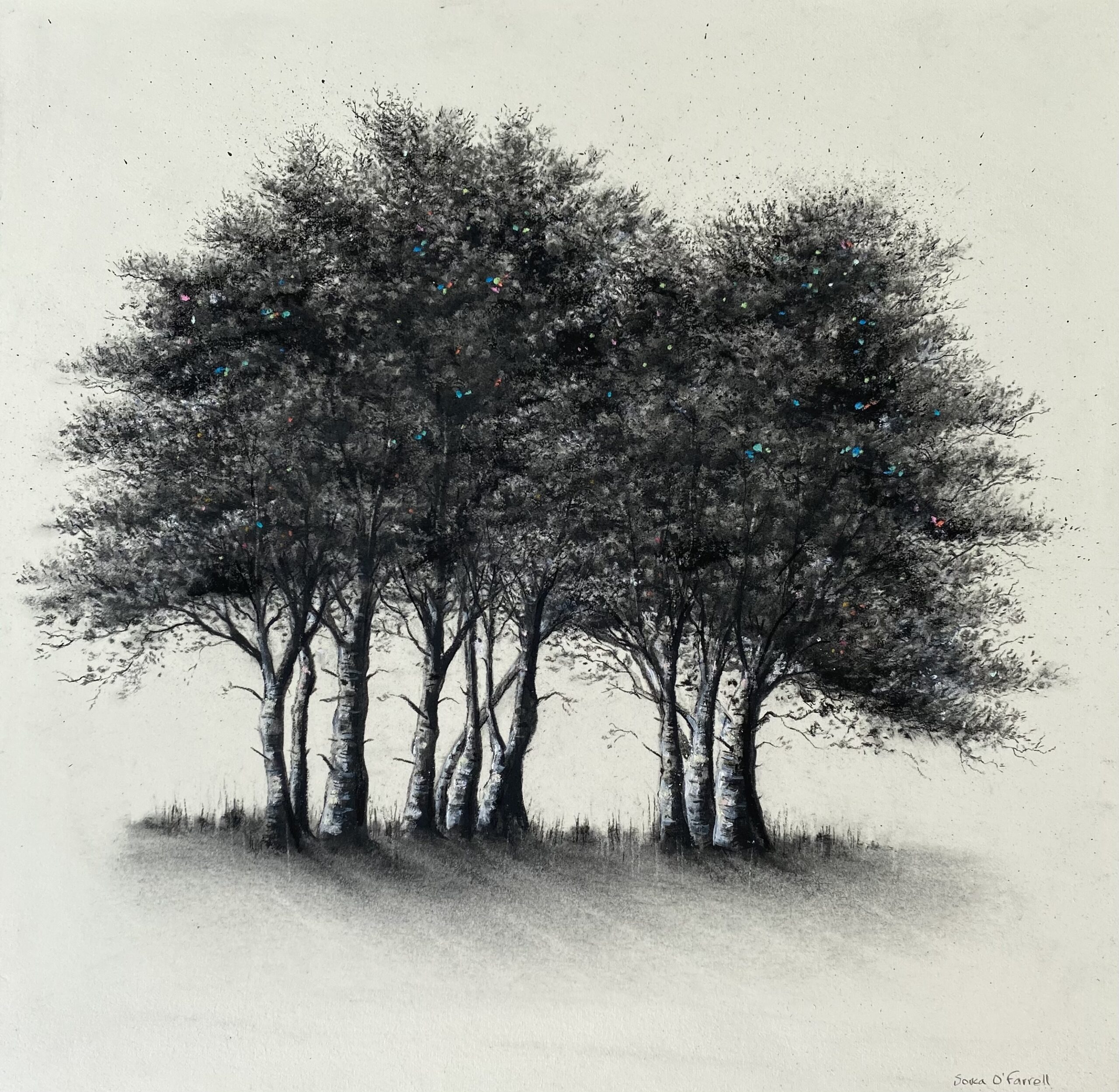 Home - Sorca O'Farrell